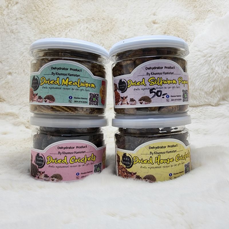 Dehydrated Worms For Dwarf Hedgehog Sugar Glider Squirrels Chameleon ...