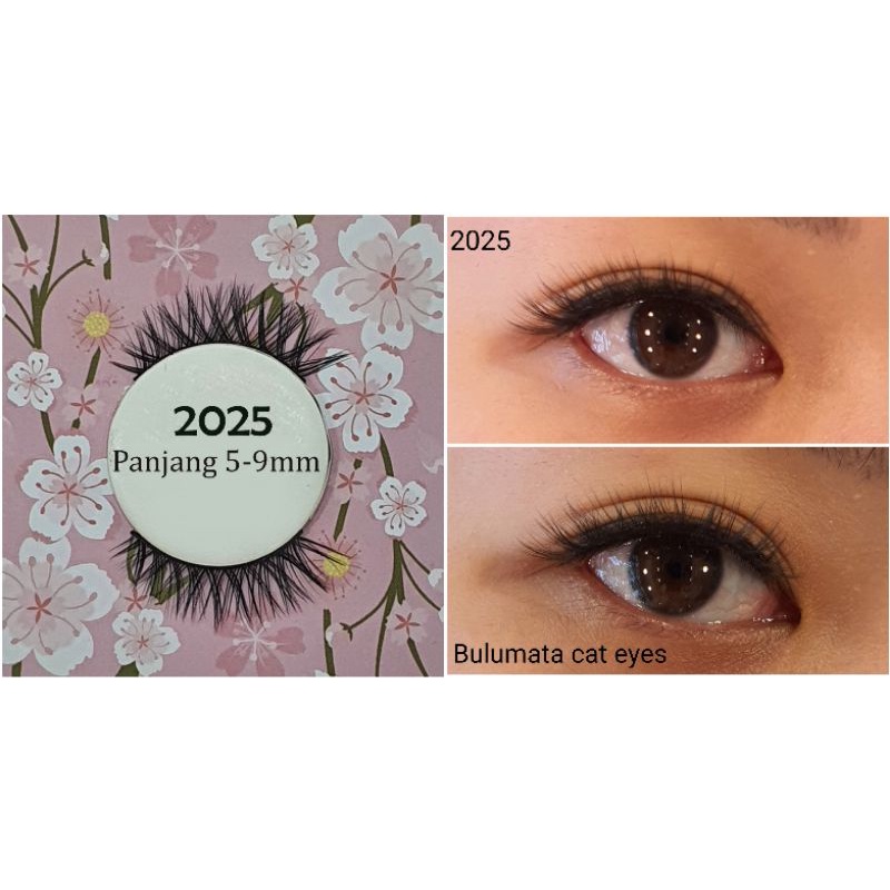 Aikyo Eyelashes 2025 | Cat EYES | Can 30x Use | Shopee Malaysia