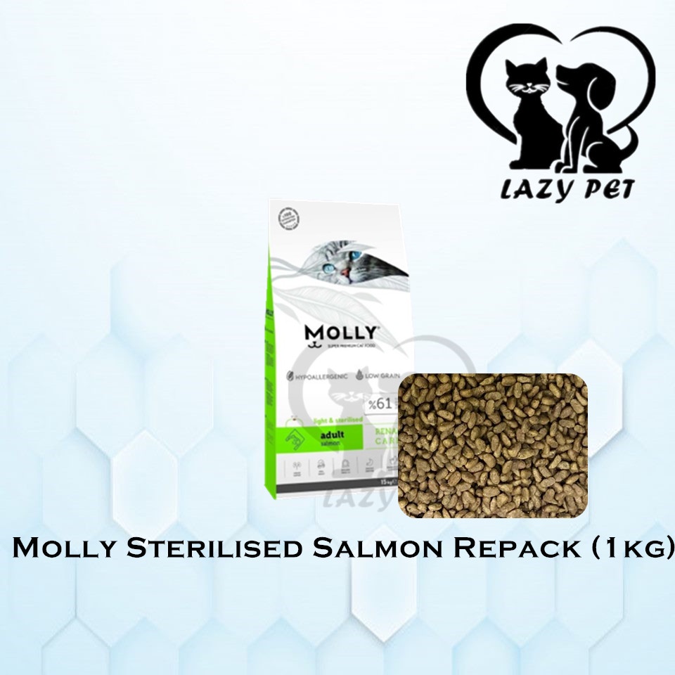 Molly Cat Adult Light & Sterilised Salmon - Renal Care (Cat Food) 1KG ...