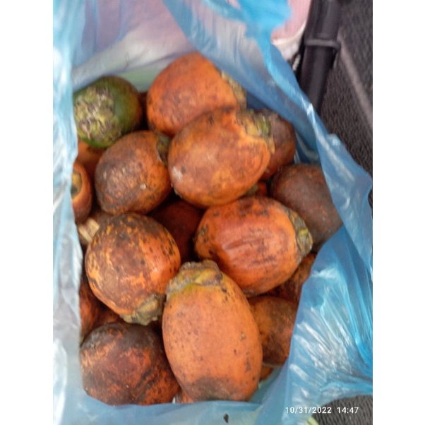 Buah Pinang masak bersama kulit 3kg | Shopee Malaysia