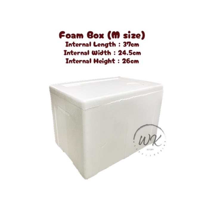 Foam Box for Frozen Items / Cooler Box / Styrofoam Ice Box | Shopee Malaysia