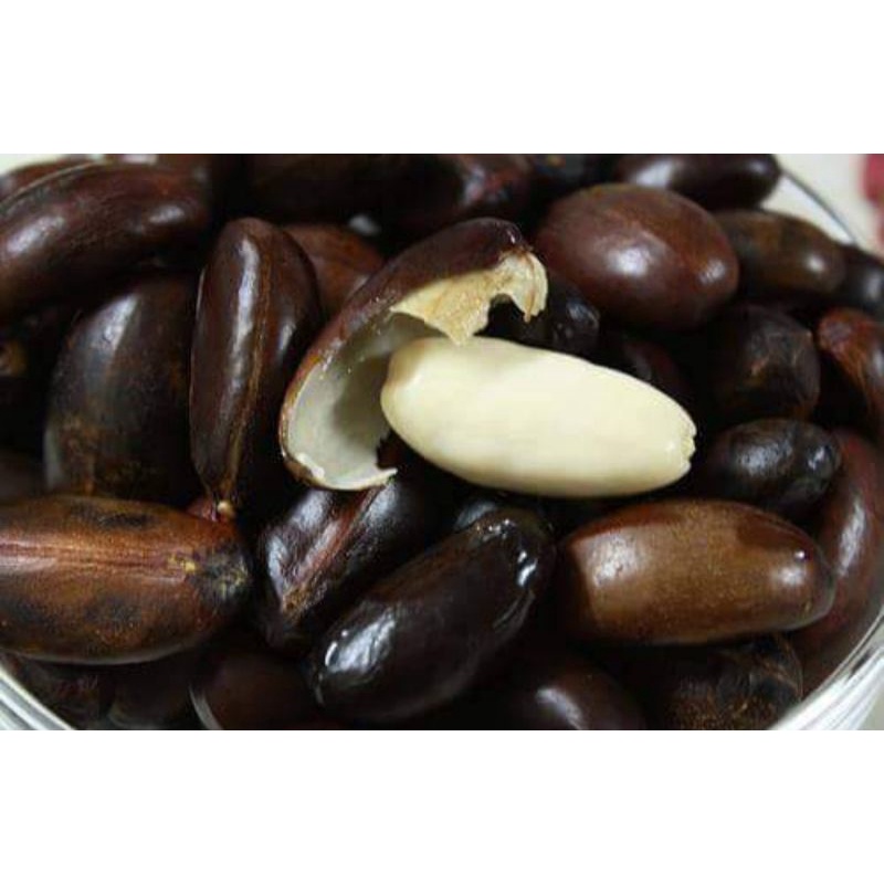 ANAK POKOK BUAH PERAH | Shopee Malaysia