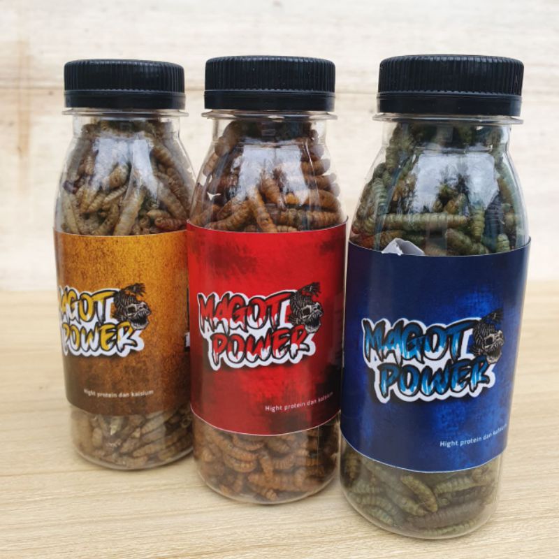 Maggot bsf Dry maggot bsf++ channa pbass oscar red blue yellow predator ...