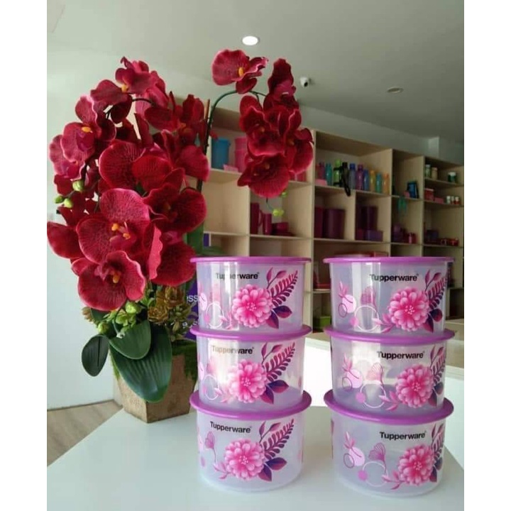 CAMELLIA ONE TOUCH TOPPER JUNIOR SET TUPPERWARE / BEKAS BISKUT RAYA / SET DAPUR/ BEKAS TEPUNG ...
