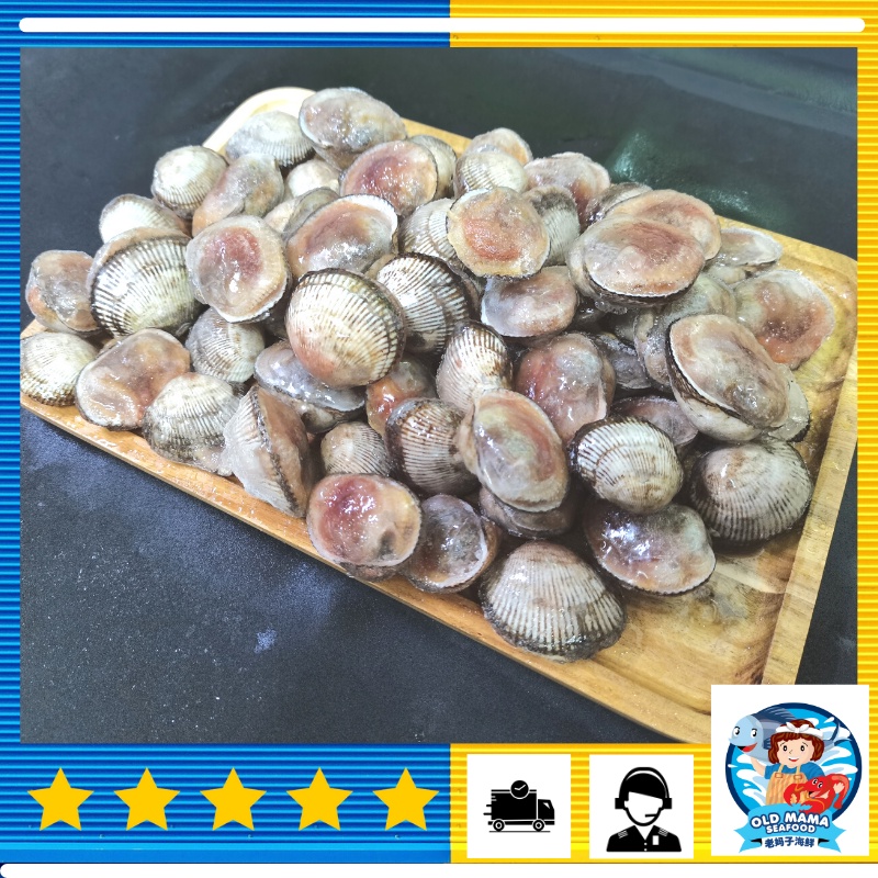 China Half Shell Arkshell (Big Size) / 中国半壳血蚶 (1kg/pack) Kerang Separuh ...