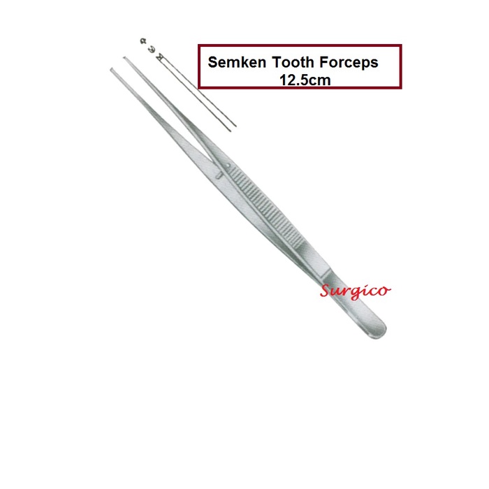 Semken Delicate Dissecting Forceps 12.5cm --Surgical Medical use ...