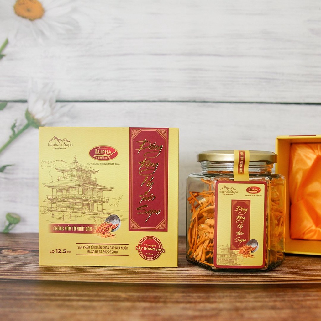 Sublimation Dried Sapa Cordyceps 12,5Gr | Shopee Malaysia