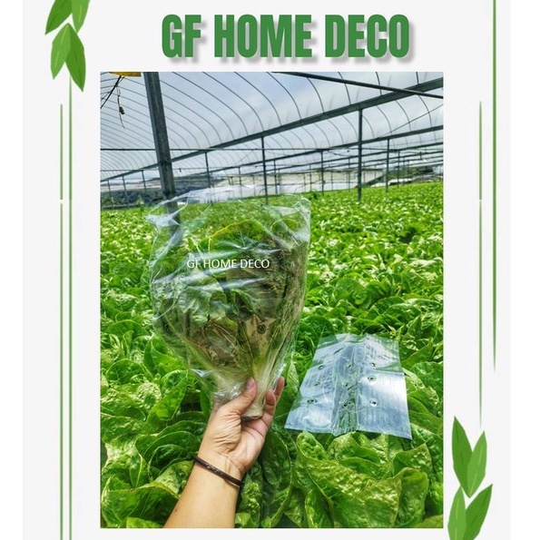 Plastic PP Bag Transparent with Punch Hole | 500gm±/1kg± | Plastik ...