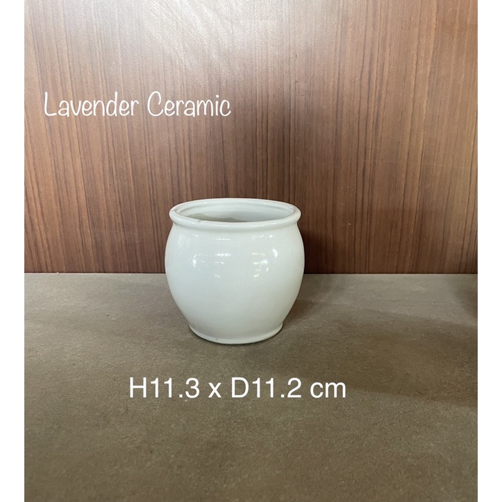 🪵Seramik Pasu putih bunga / pasu orkid 🌺Ceramic white flower pot🌼陶瓷花盆🌴 ...