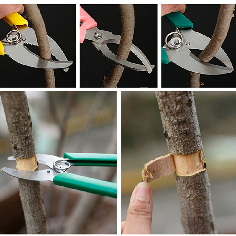 MKR Cutter For Plant Air Layering Shear Prunning Trimming Scissors ...
