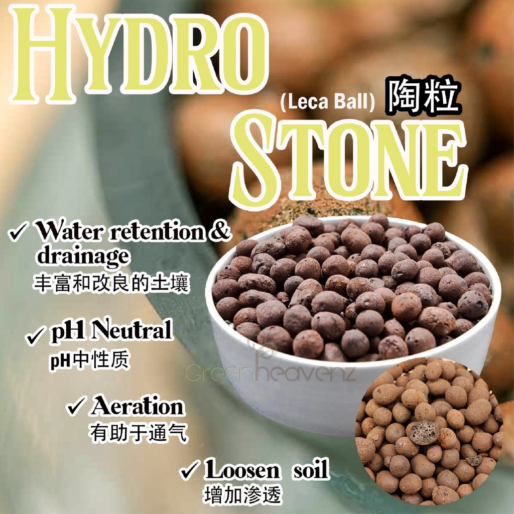 GHZ 1KG Hydrokorrels Leca Ball For Plant 10-15MM Clay Pebbles Succulent ...