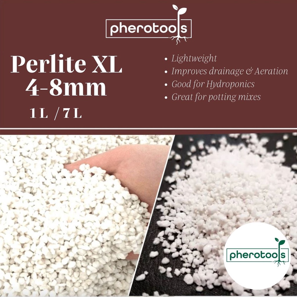 Pherotools Perlite XL (1L / 4L) (4-8mm) - PERFECT for Potting Soil Mix ...