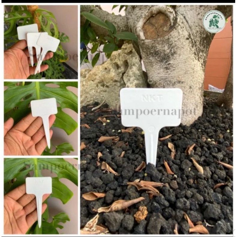 Plant name tag | Shopee Malaysia