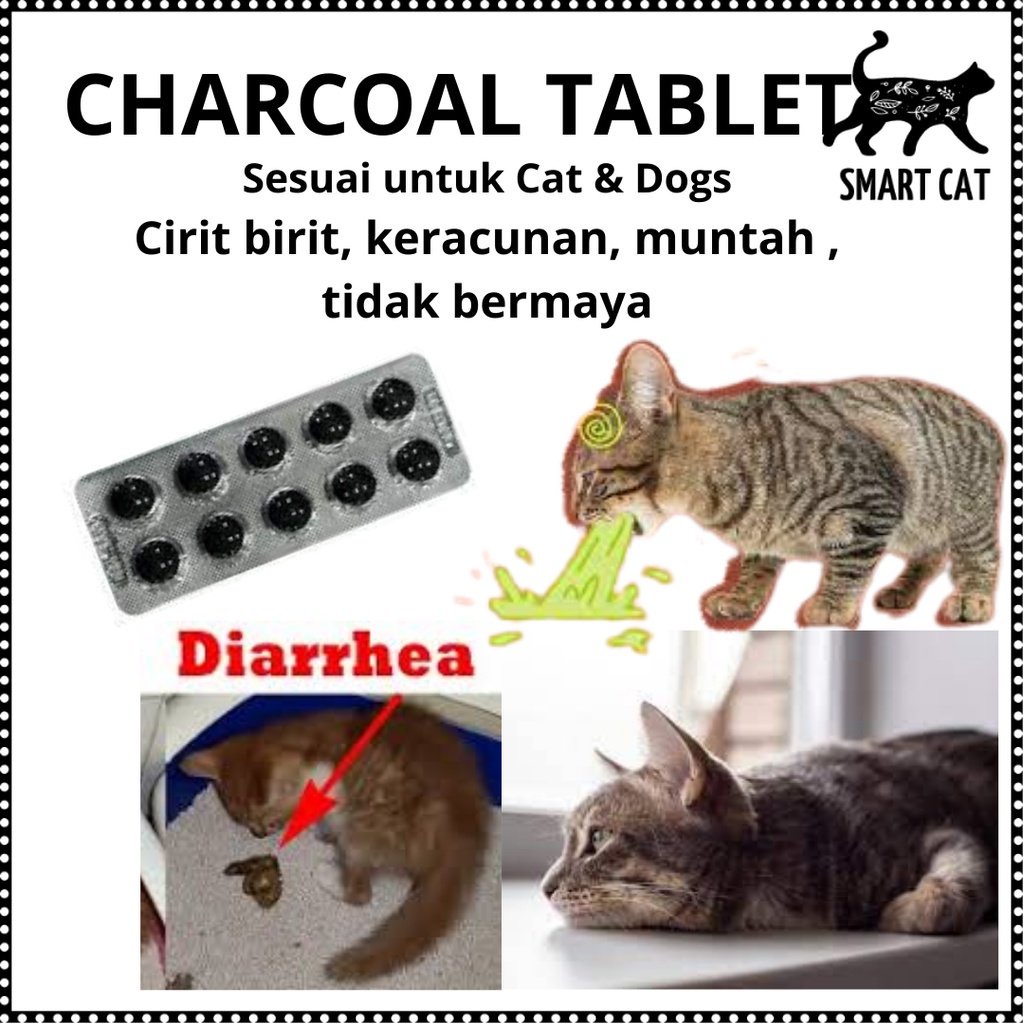 SGS Ubat Cirit Birit / Muntah / Keracunan / Diarrhea Kucing & Anjing ...