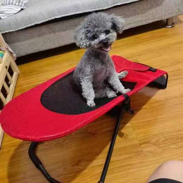 Pet Rocking Chair Dog Cat Rocking Chair Adjustable TikTok Same Pet Bed ...