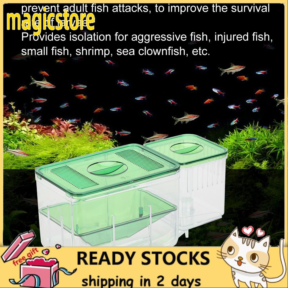 Magicstore Fish Incubator Breeding Box Isolation Breeder Double-Layer Shop | Shopee Malaysia