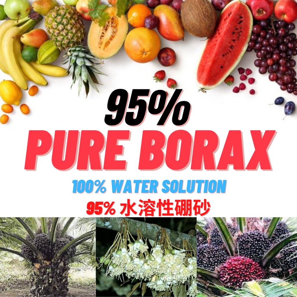 Boron Borax 95% Pure boron Baja Boron Tambah Bunga, Kualiti Buah, buah banyak, buah berat ...