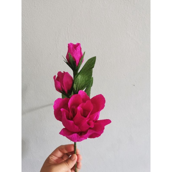 BUNGA TELUR (RM2.00/pc) 50 pcs | Shopee Malaysia