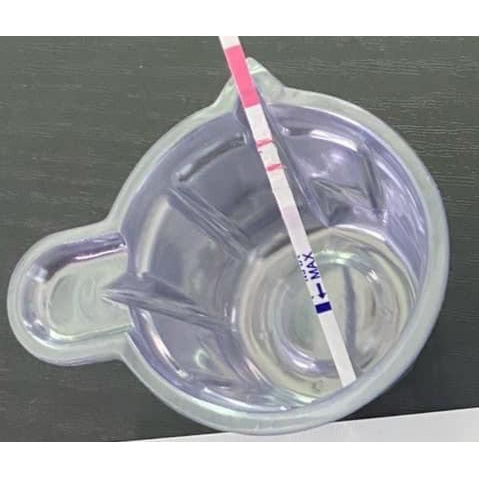 [Offer] Ovulation Test Strip OPK LH Ovulasi / UPT TEST PREGNANCY ...