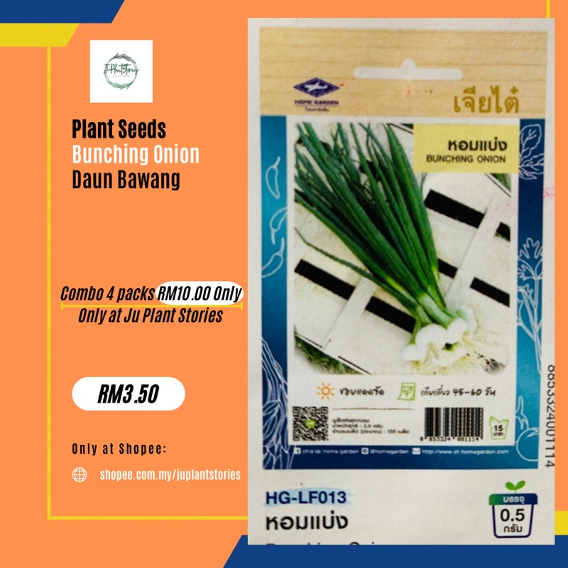 benih sayuran / daun bawang / daun sup / daun ketumbar / daun ketumbar ...