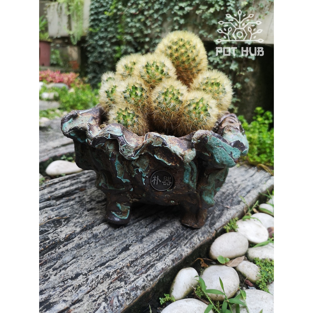 POTHUB Ready Stock Luxury High Quality Rough Unrefined Texture Planter ...