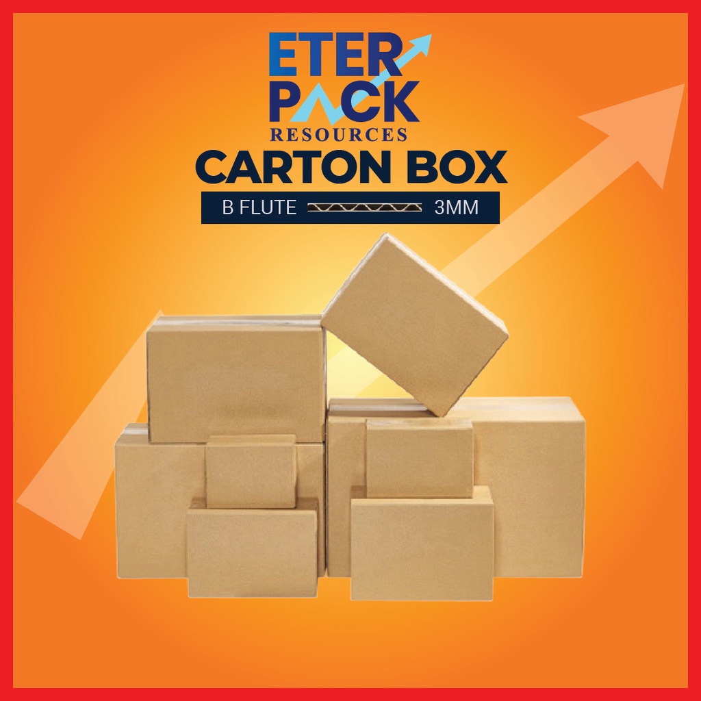 Eterpack Carton Box Packing Box Packaging Box Kotak -RSC BOX | Shopee ...