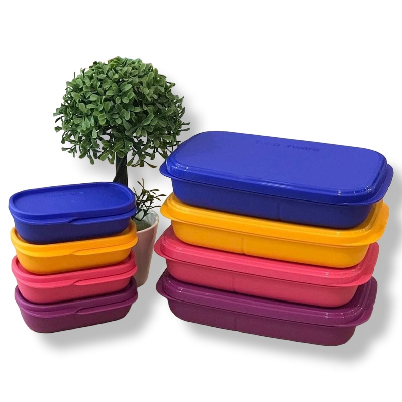 Tupperware Foodie Buddy 590ml/Lunch Box/Bento(1 pc) | Shopee Malaysia