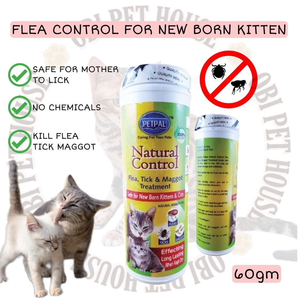 Petpal Natural Control Flea 60gm, Tick & Maggot Control Powder For New ...