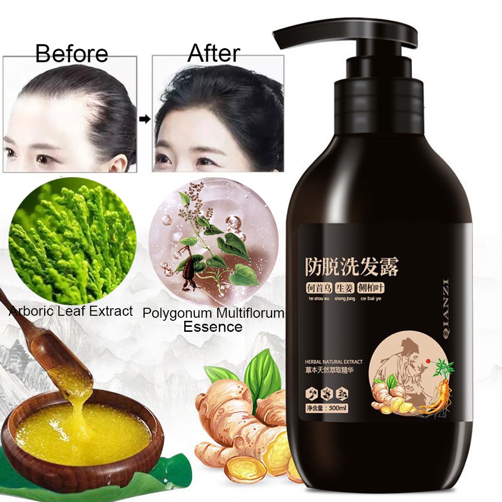 Ginger Anti Hair Loss Shampoo Polygonum Multiflorum Essence nourishes ...
