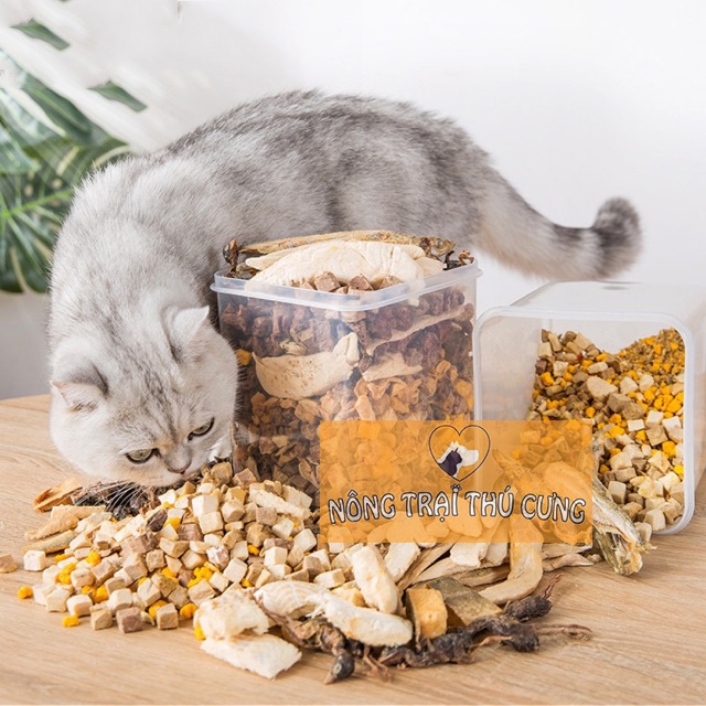 Box of Dried Meat and Fish (Mix 11 types) for Dogs and Cats (Delicious ...