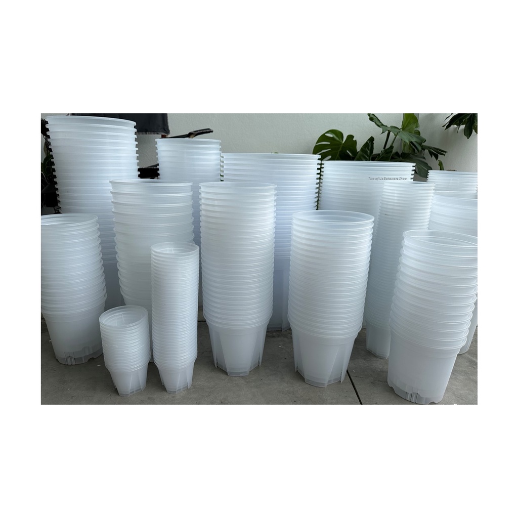 Transparent Clear Aroid Pot, Indoor Rare Plant Pot, Pasu Bunga, Plastic ...