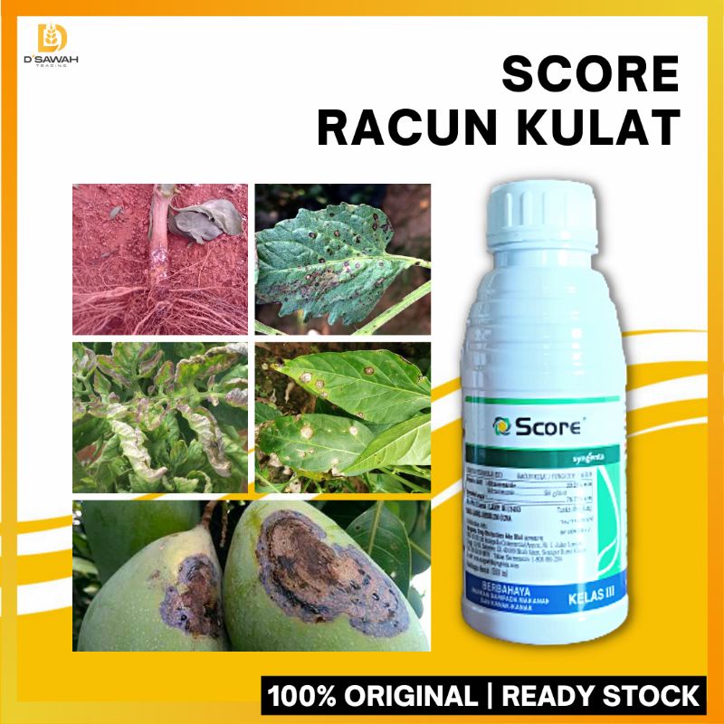 Racun Kulat Syngenta SCORE 500ml Antraknos Mati Rosot Bintik Daun Hawar ...