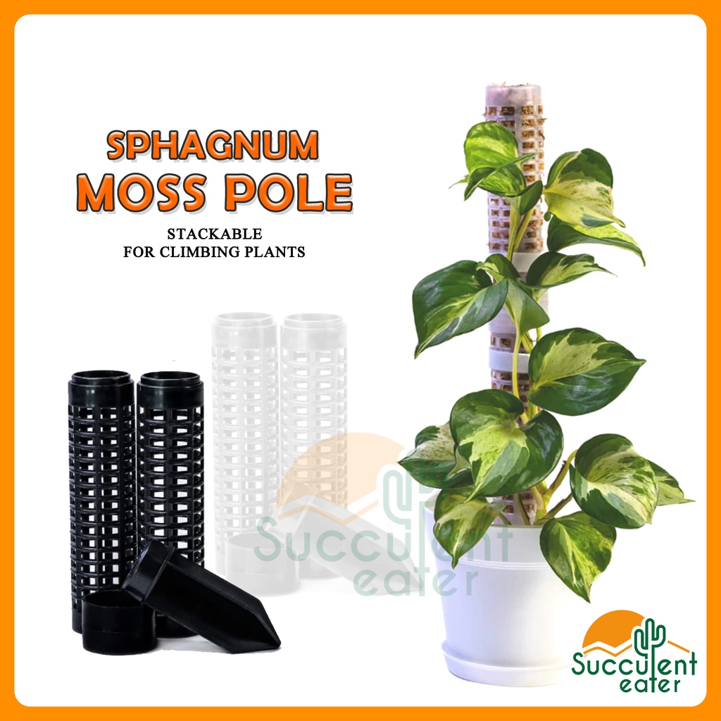Stackable Moss Pole Monstera Sphagnum Plastic for Climbing Plant Support Gardening Tools and ...