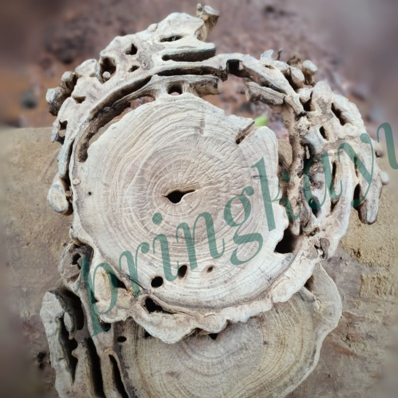 KAYU Rustic corrosion teak wood slice 22-30 cm | Shopee Malaysia