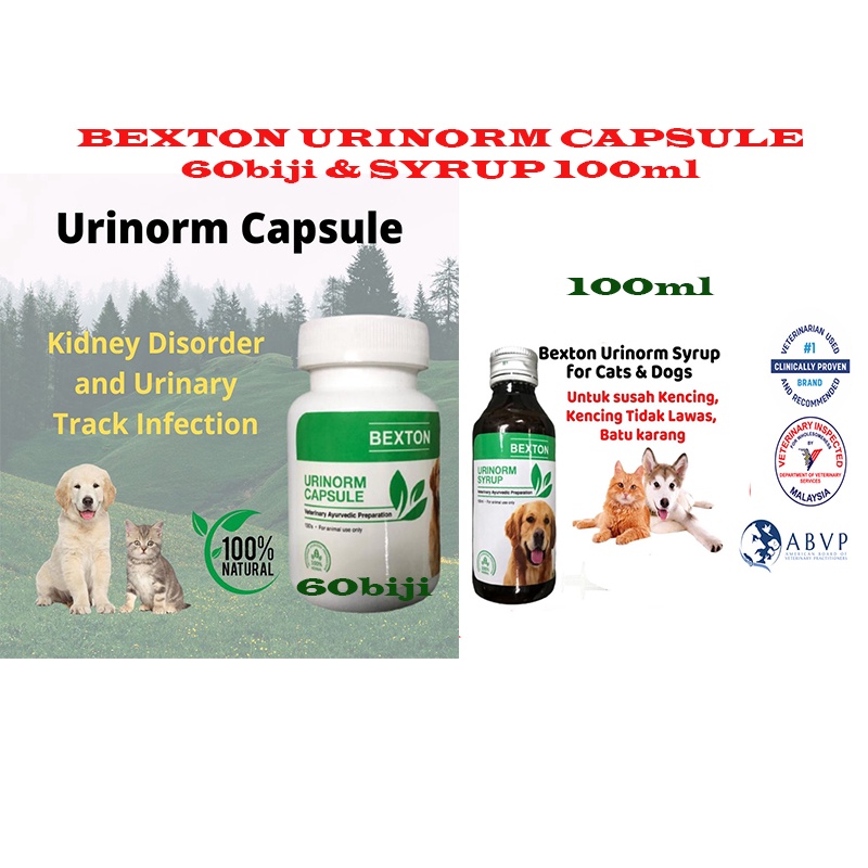 Bexton Urinorm Kidney Protective Syrup / Urinary Care Ubat Buah ...