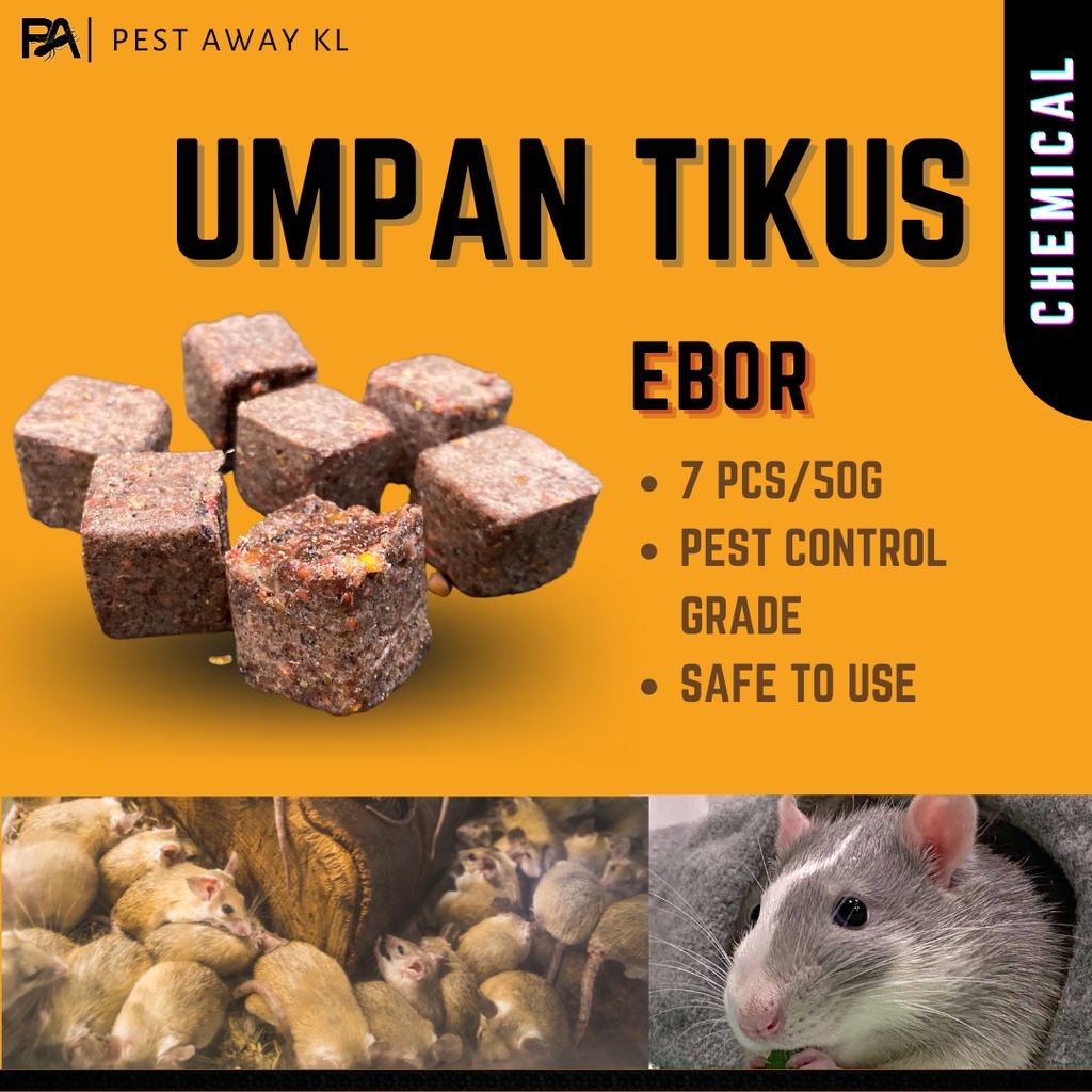 Umpan Tikus / Ubat Tikus / Rat bait / 老鼠药 (Guarantee Berkesan) (FAST ...
