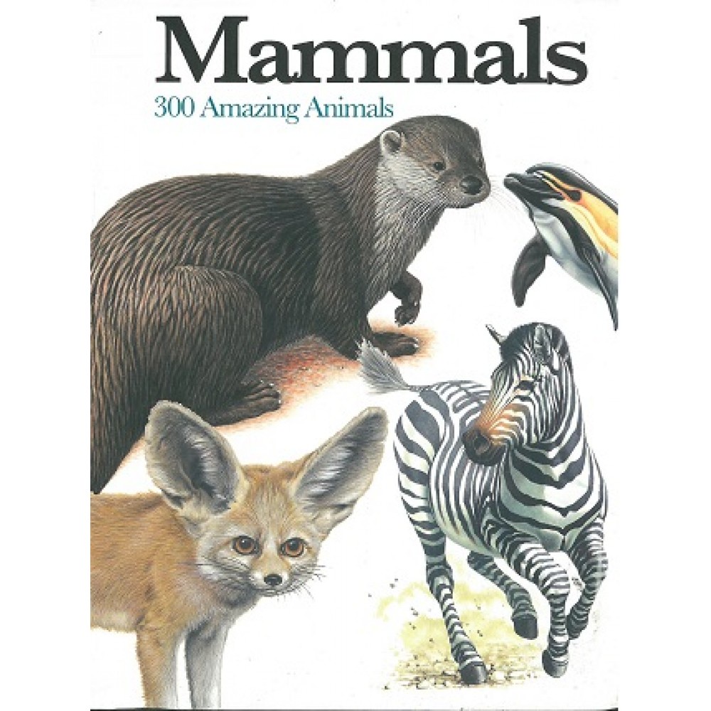 Mini Encyclopedia: Stars & Planets/ Pets/ Dinosaurs /Mammals / Human ...