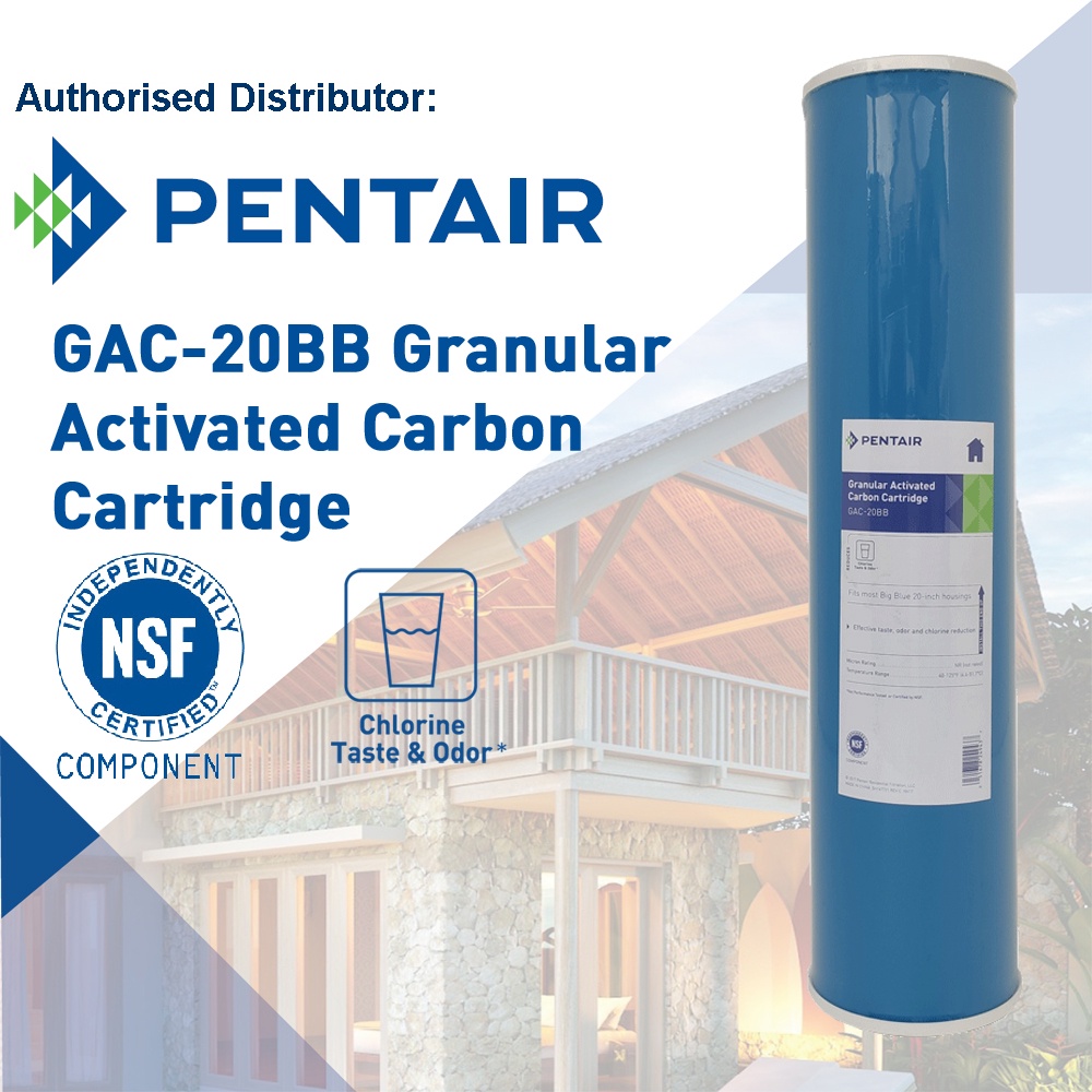 PENTAIR PENTEK 155249-43WP GAC-20BB 20" Granular Activated Carbon Water ...