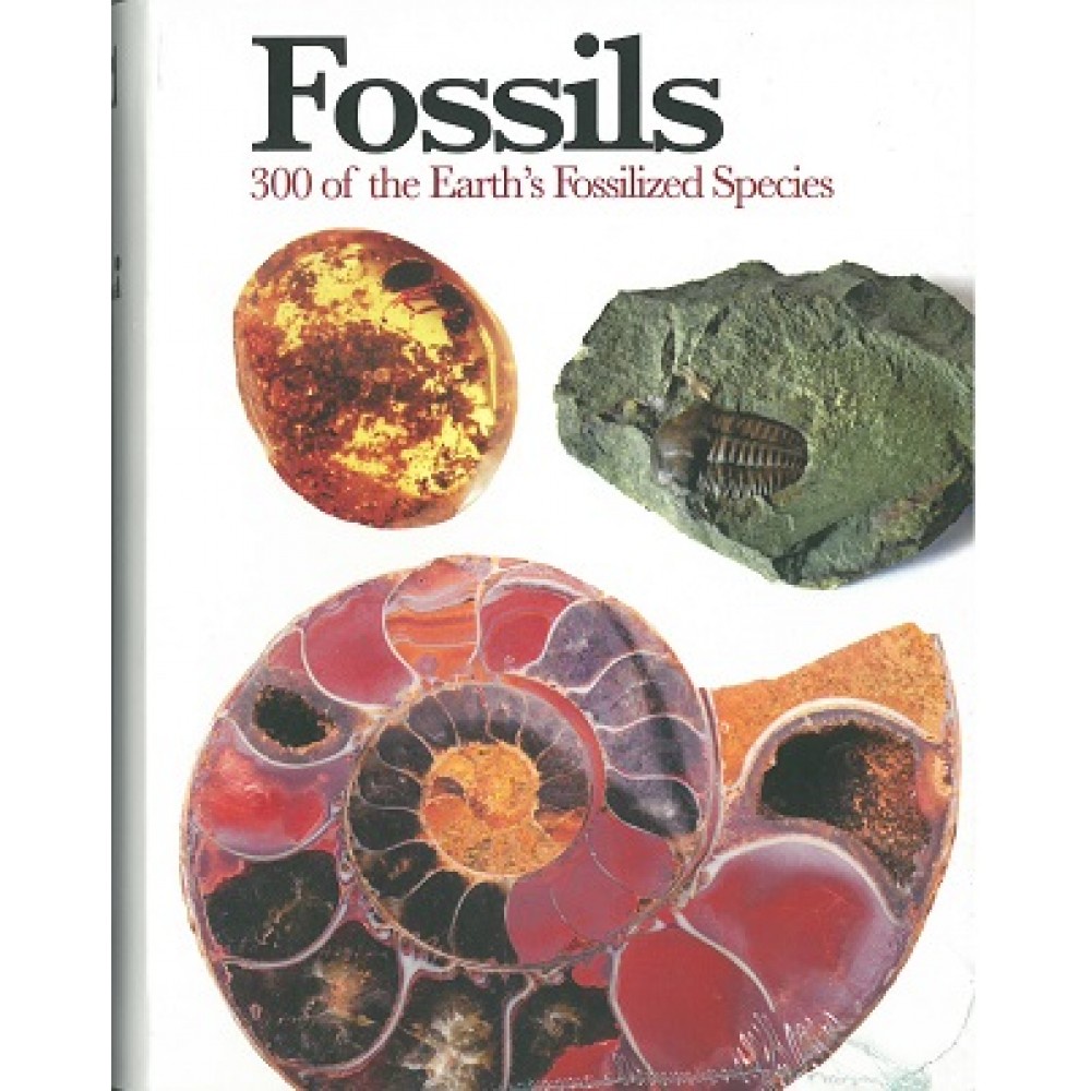 Mini Encyclopedia: Stars & Planets/ Pets/ Dinosaurs /Mammals / Human ...