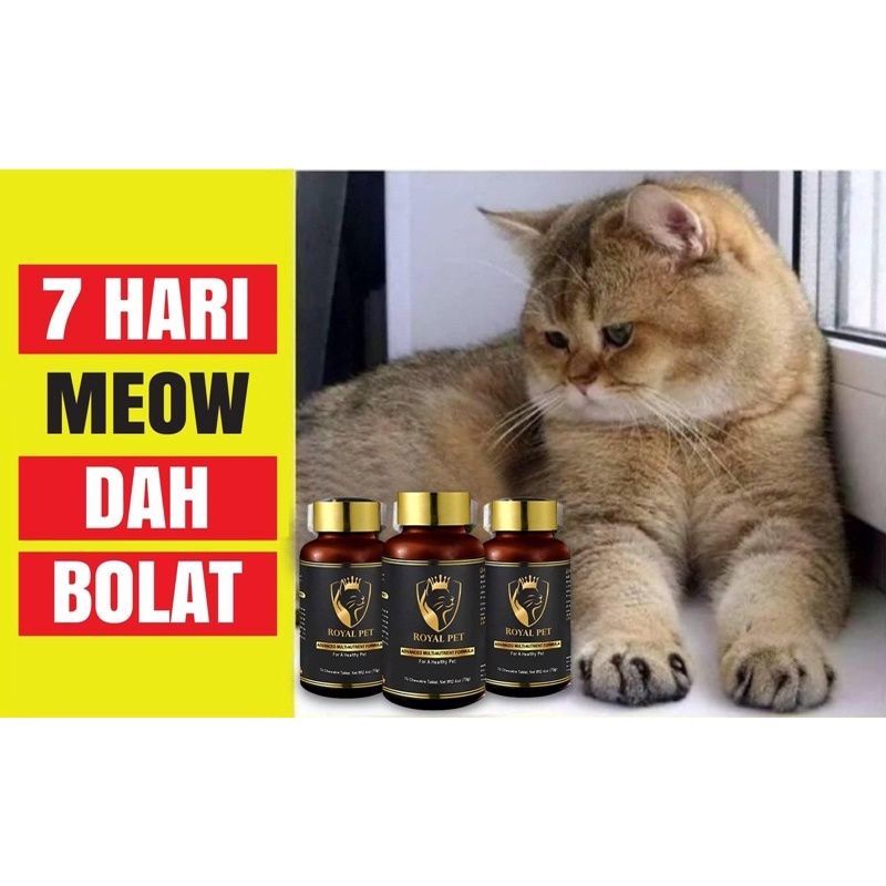 vitamin kucing royal pet 10 biji 20 biji 30 biji | Shopee Malaysia
