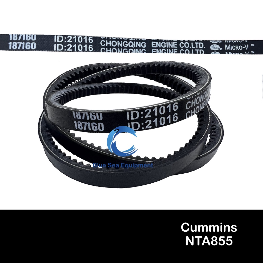Fan Belt - 187160 for Cummins NTA855 Generator Diesel Engine Parts ...