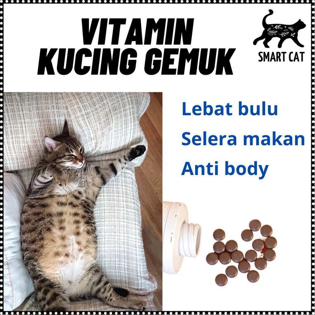 SmartCat Multi-Vitamin Supplement Vitamin Kucing untuk Kesihatan ...