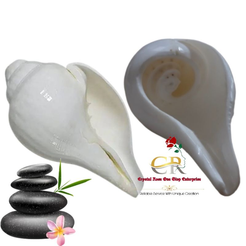 Original Natural Paal Sangu/Shankh For Pooja | Shopee Malaysia