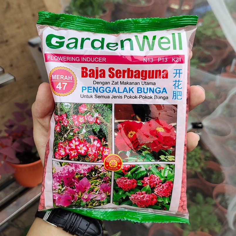 Baja bunga / pokok mengalak lebih banyak bunga dan subur Npk 13:13:21 ...