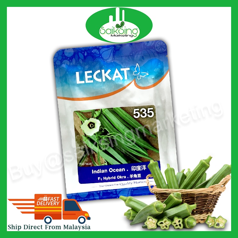50G 535 Leckat F1 Hybrid Okra Indian Ocean Benih Bendi | Shopee Malaysia
