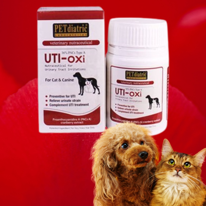 Petdiatric UTI-OXI urinary tract dog cat pet urinary supplement UTI OXI ...