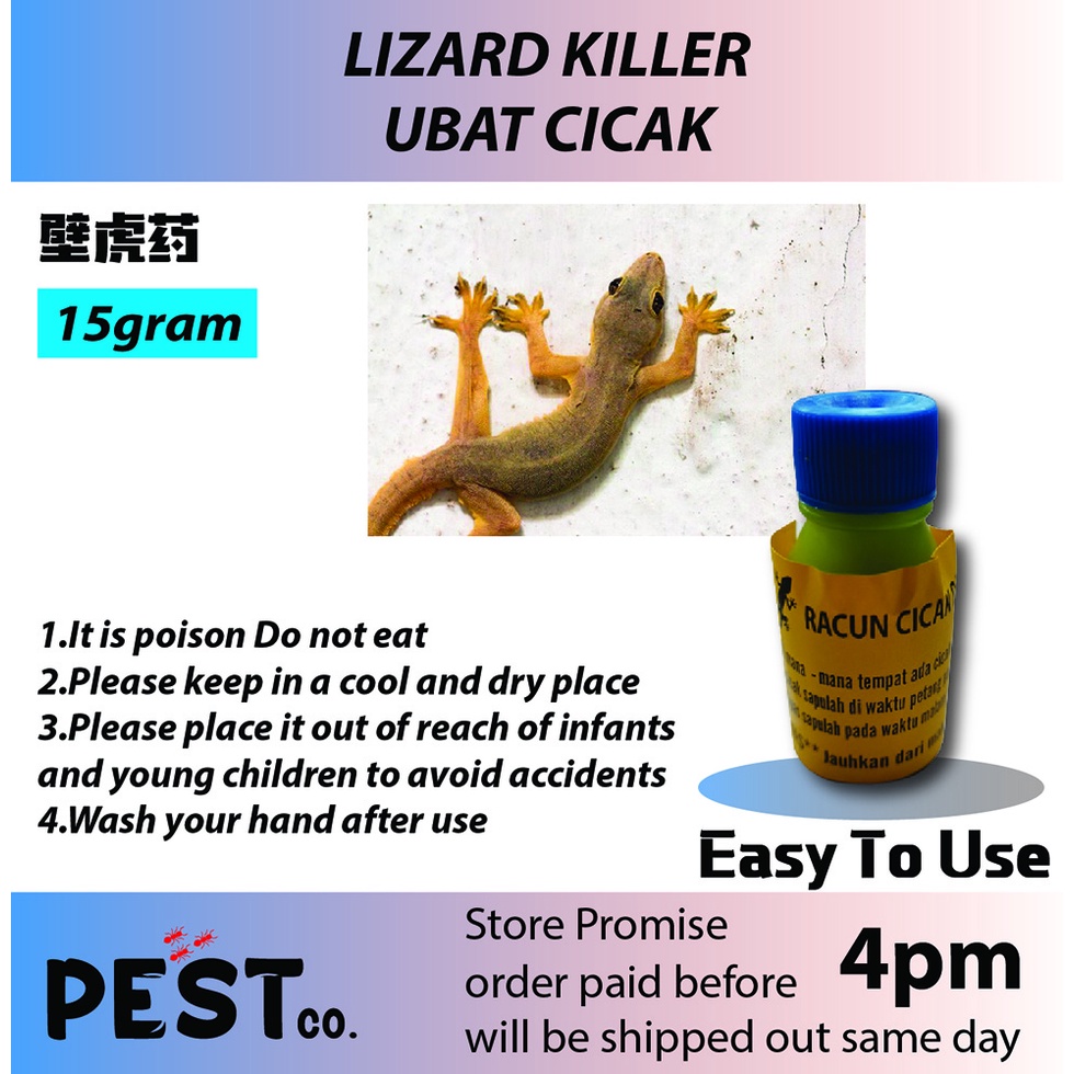 Ubat Cicak sangat berkesan / LIZARD Killer / Anti Lizard / Ubat Cicak ...