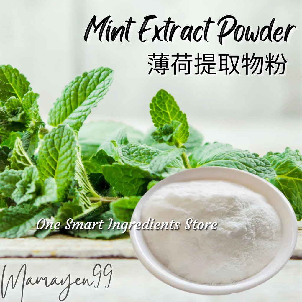 Mint Powder Extract / Serbuk Pudina - Cooling Menthol Mint Extract ...