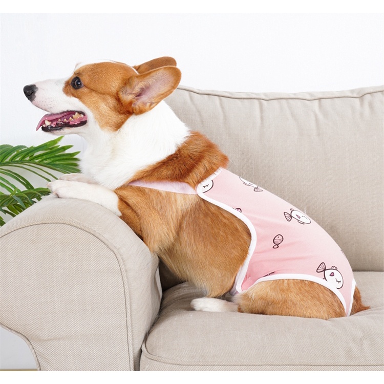 EPPet Dog Summer Sanitary Pads Menstrual Panties Female Dog Female ...