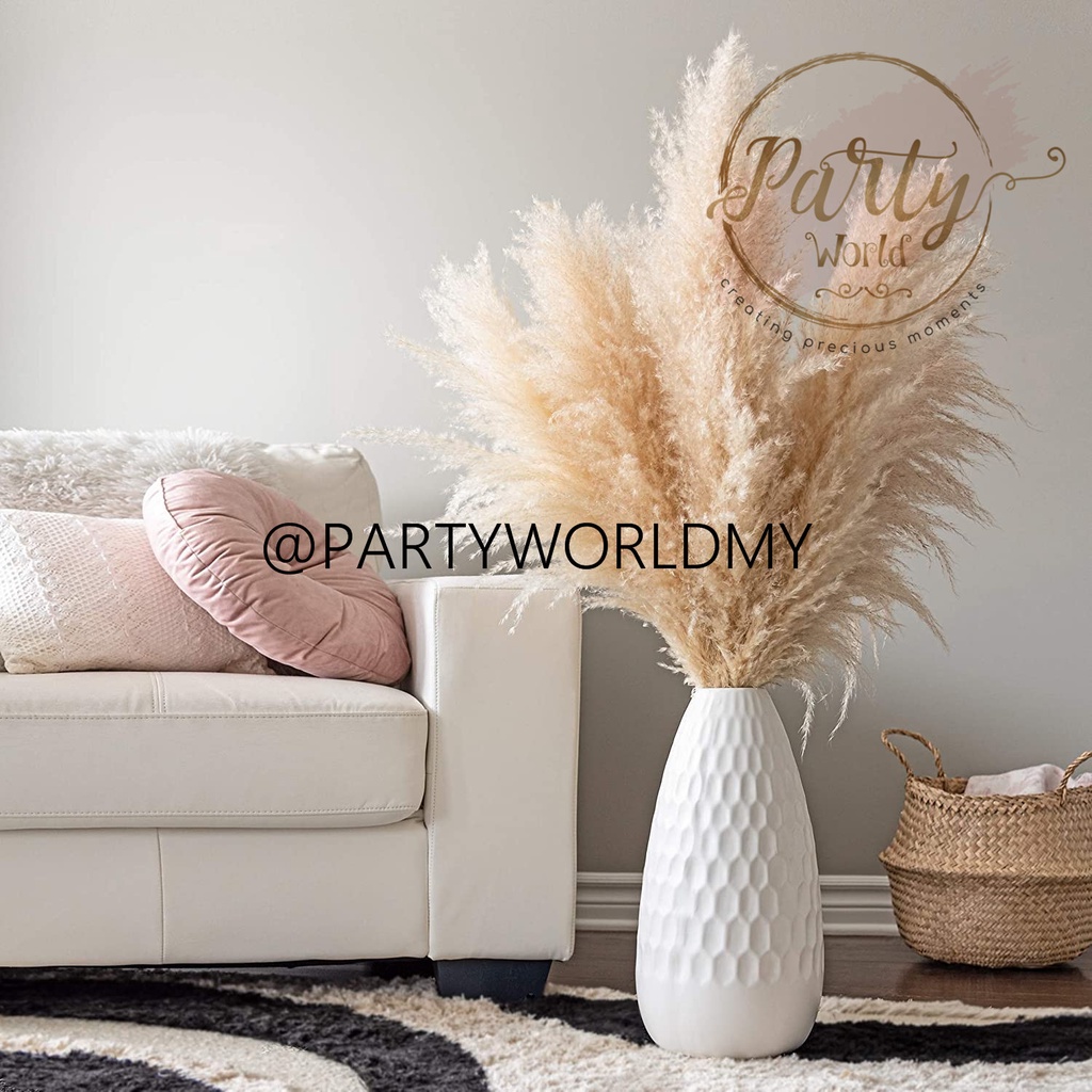 120CM LARGE PAMPAS GRASS 1 STALK PRESERVED Tall Pampas Dried Plants ...